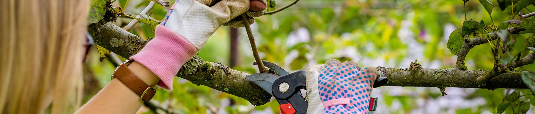 Practical Gardening Skills | West Dean