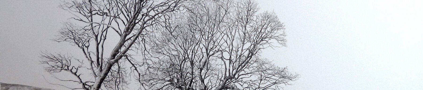 Sarah Simblet - West Dean College