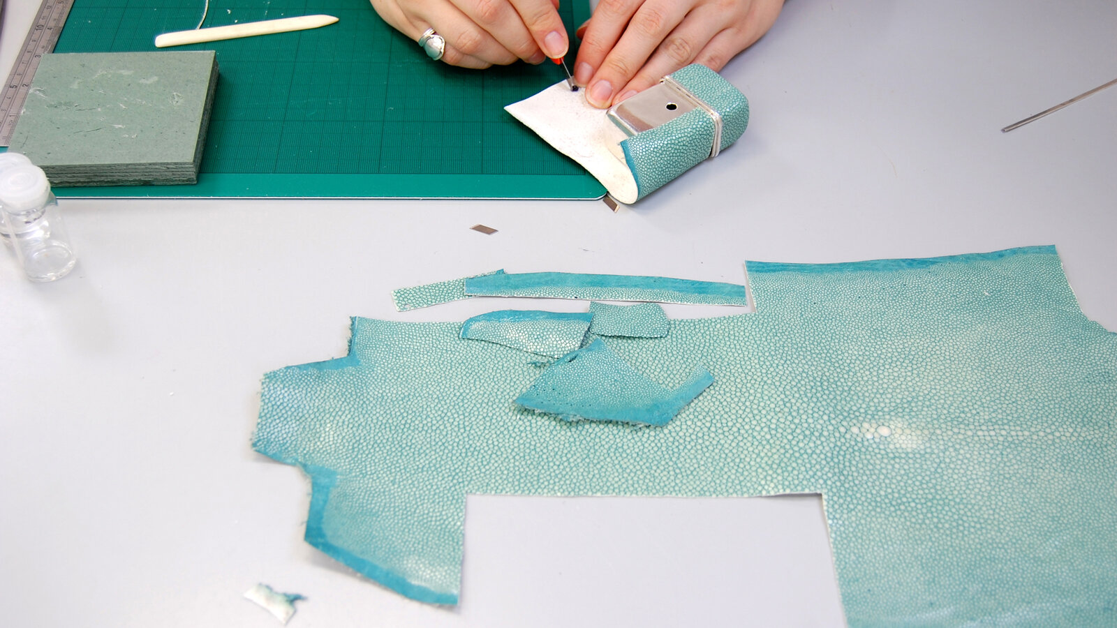 Shagreen Covering for a Silver Case