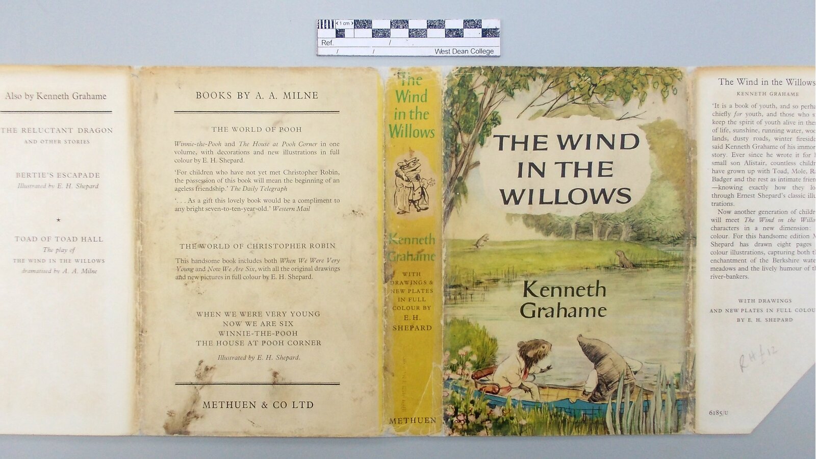 The Wind in the Willows—Paper repairs