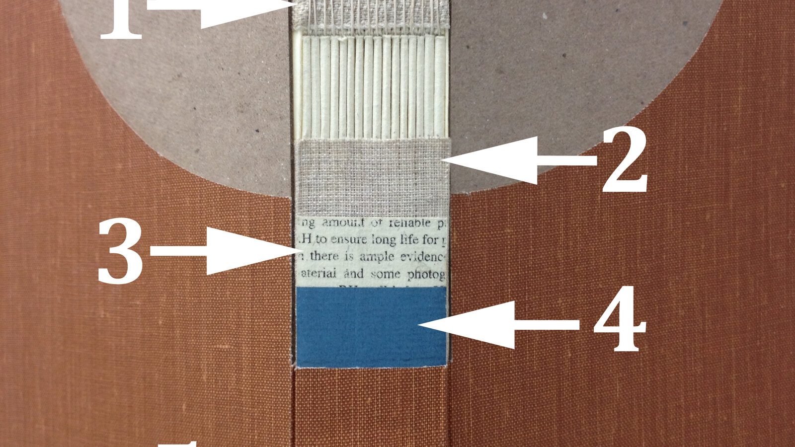 Making cut-away binding models