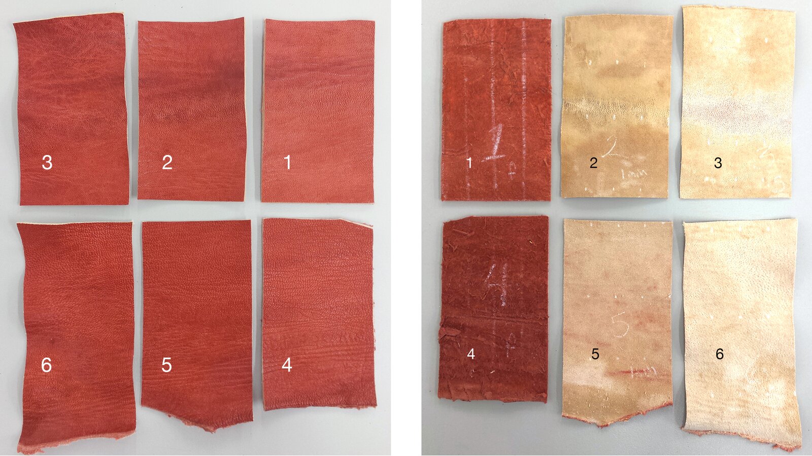 Tensile Testing of Leather