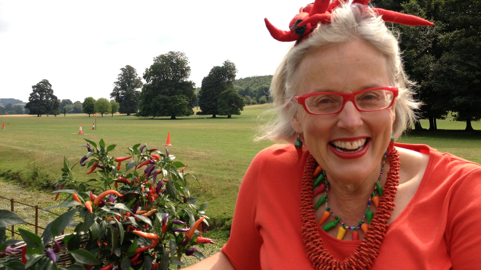 Are you ready to (summer) party at Chilli Fiesta?