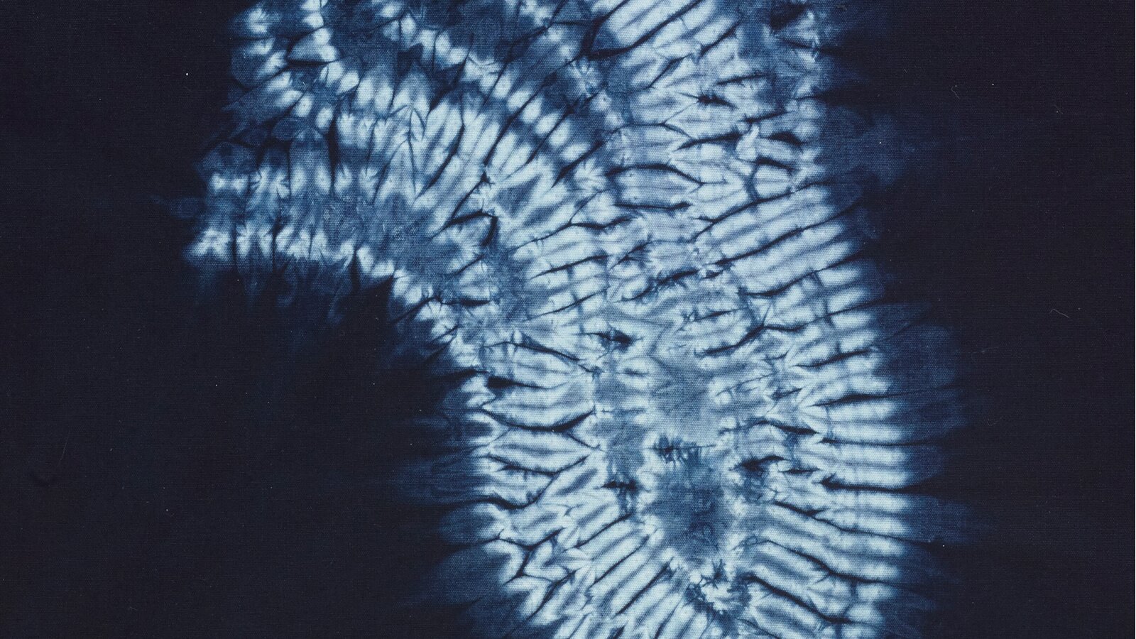 Jane Callender - West Dean College