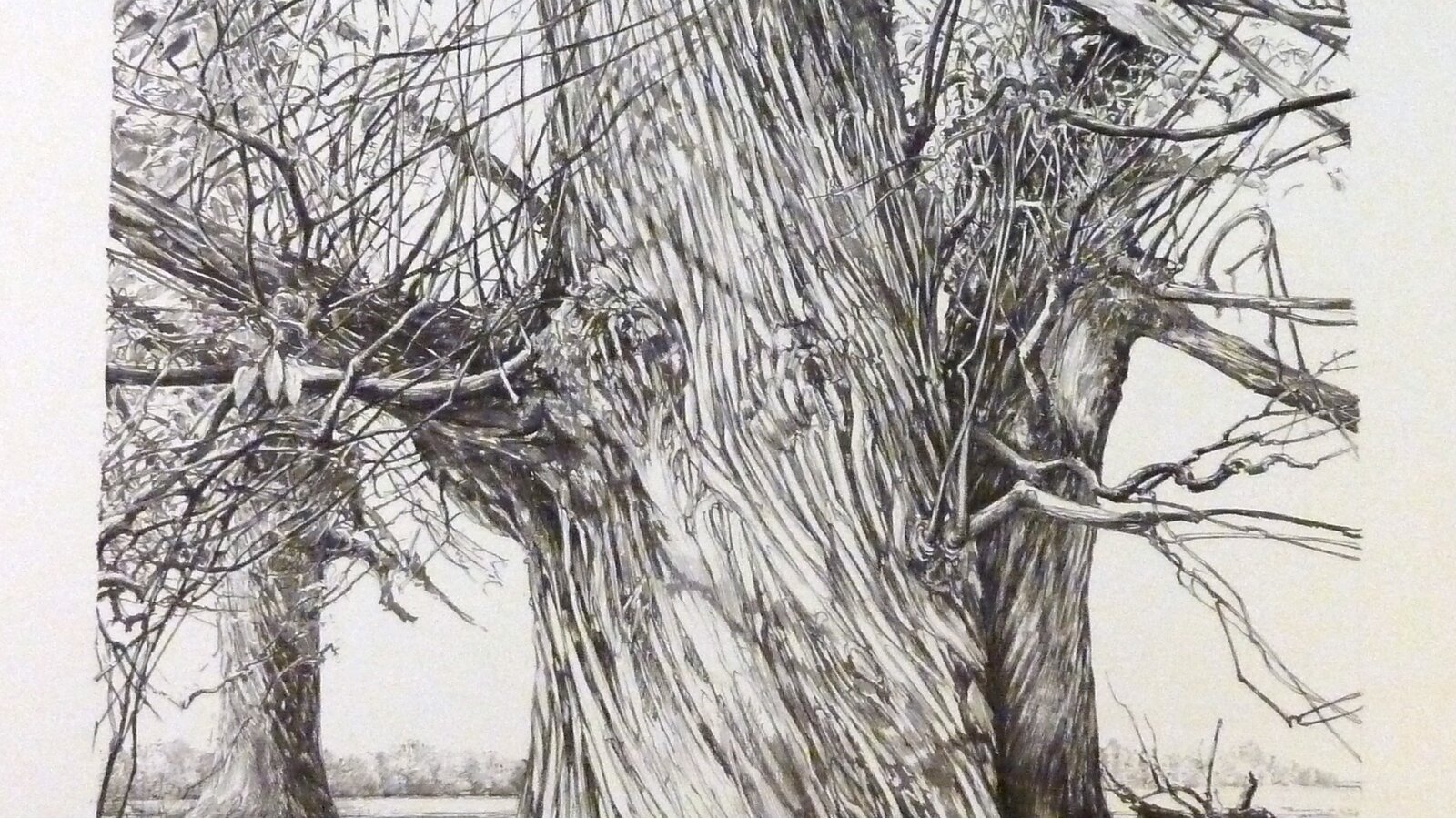 Sarah Simblet - West Dean College