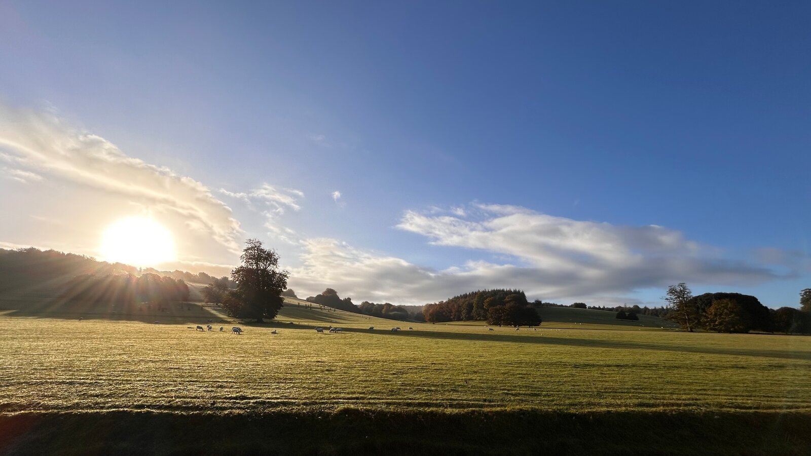 Latest news from our West Dean Ranger