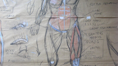 Anatomy for Artists by Pernille Fraser