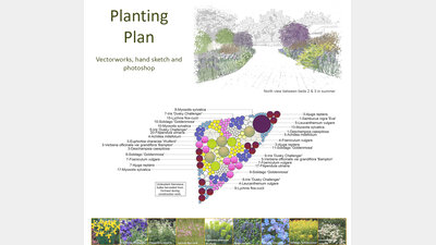 Diploma in Garden Design - Part Time | KLC School of Design