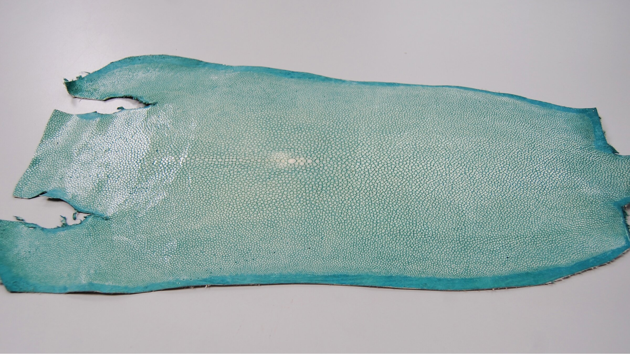 Shagreen Covering for a Silver Case