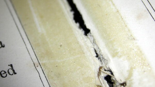 Sellotape: why it's bad to put on paper, and removal