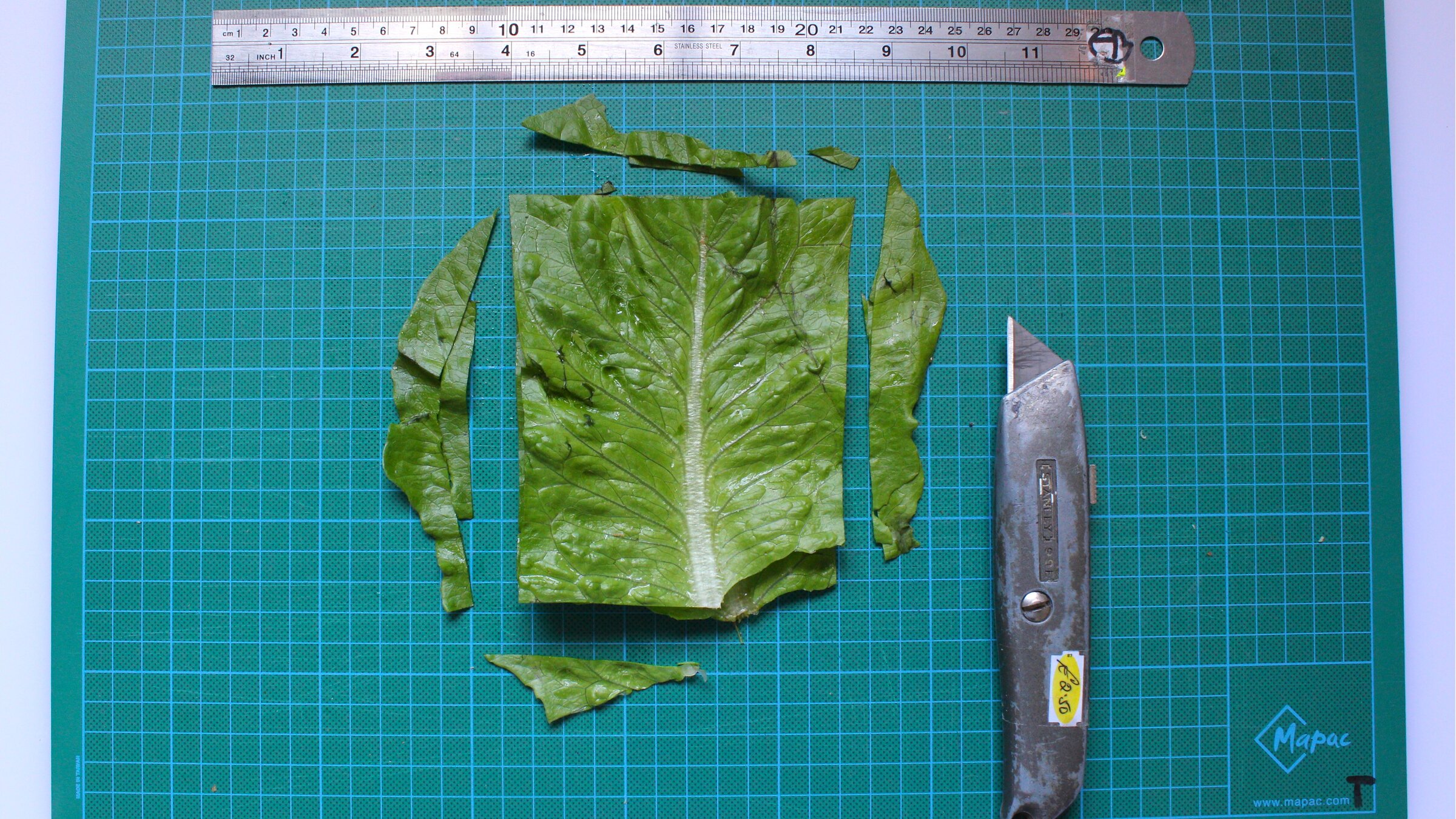 INTRO TO BINDING: JAPANESE STAB BINDING TUTORIAL (flexible cover with ...