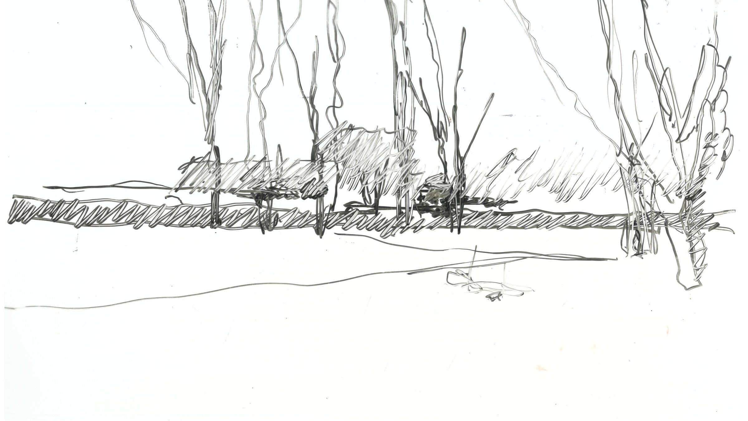 Drawing Experiments in the Studio