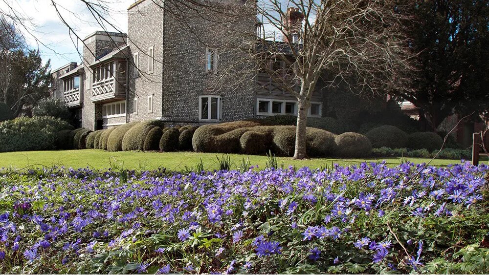 Looking good in March 2023 | West Dean Gardens