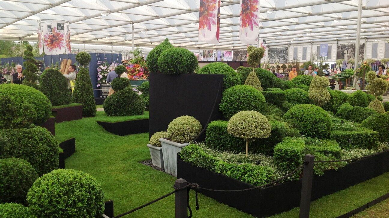 Create your own topiary | West Dean College of Arts and Conservation