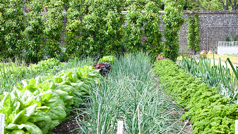 Walled Kitchen Garden at West Dean in Sussex
