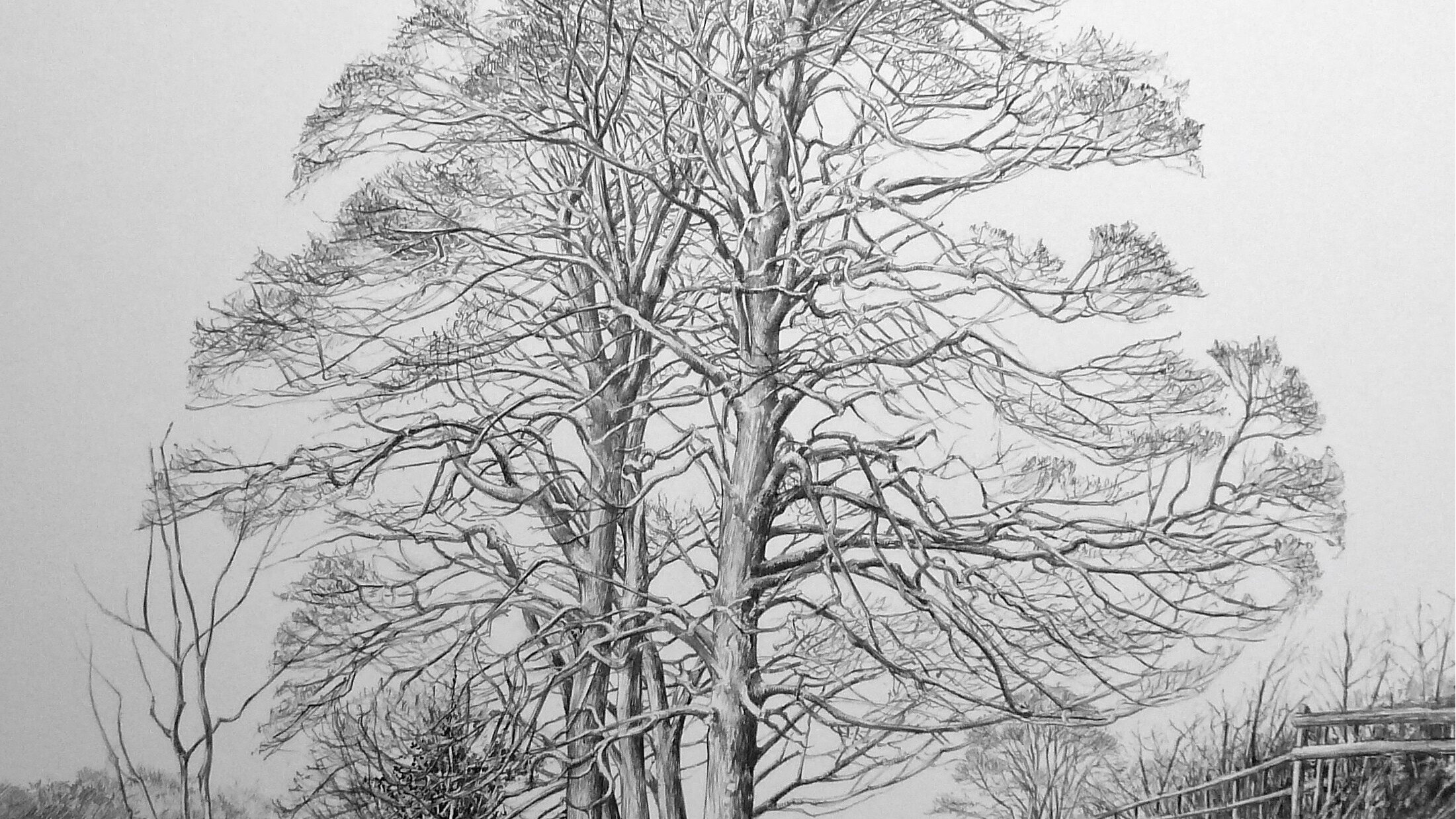 Sarah Simblet - West Dean College