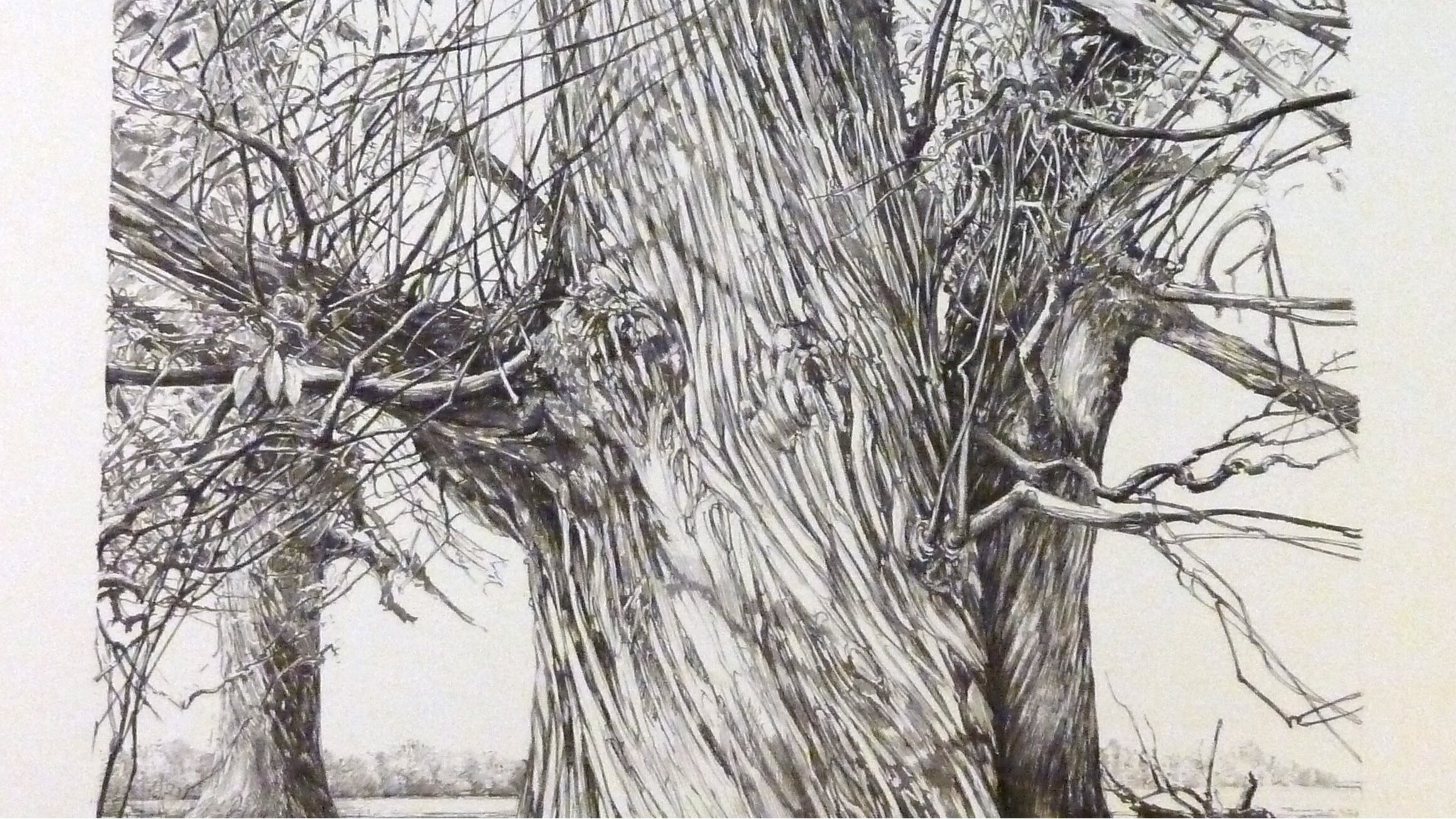 Sarah Simblet - West Dean College