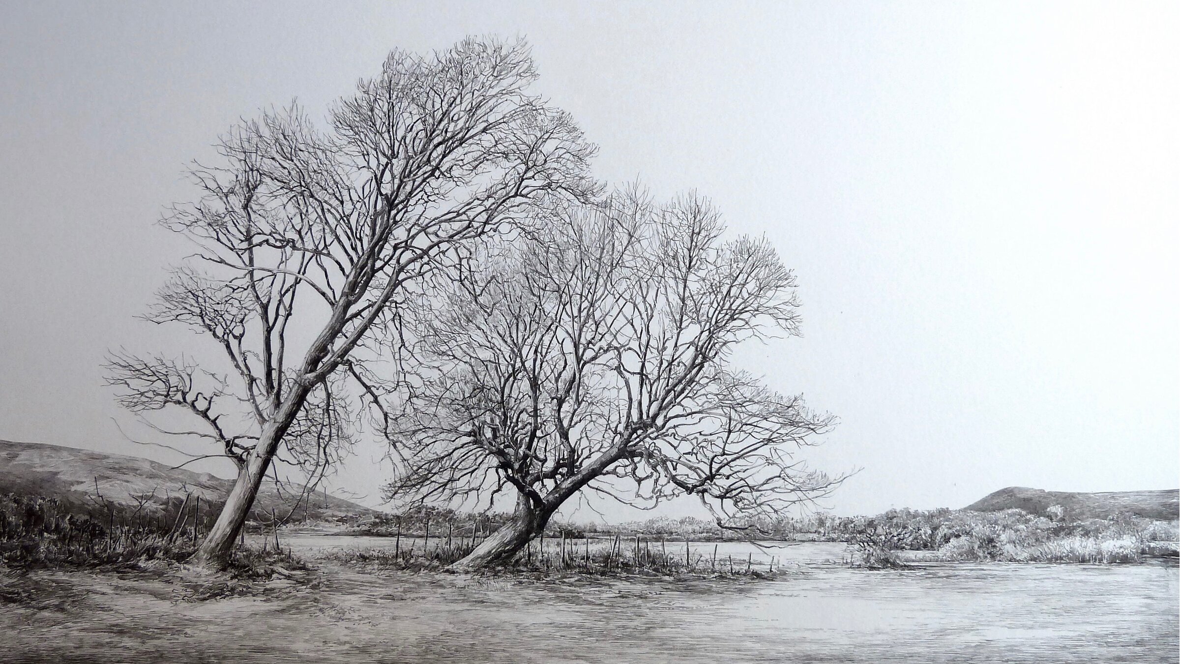 Sarah Simblet - West Dean College