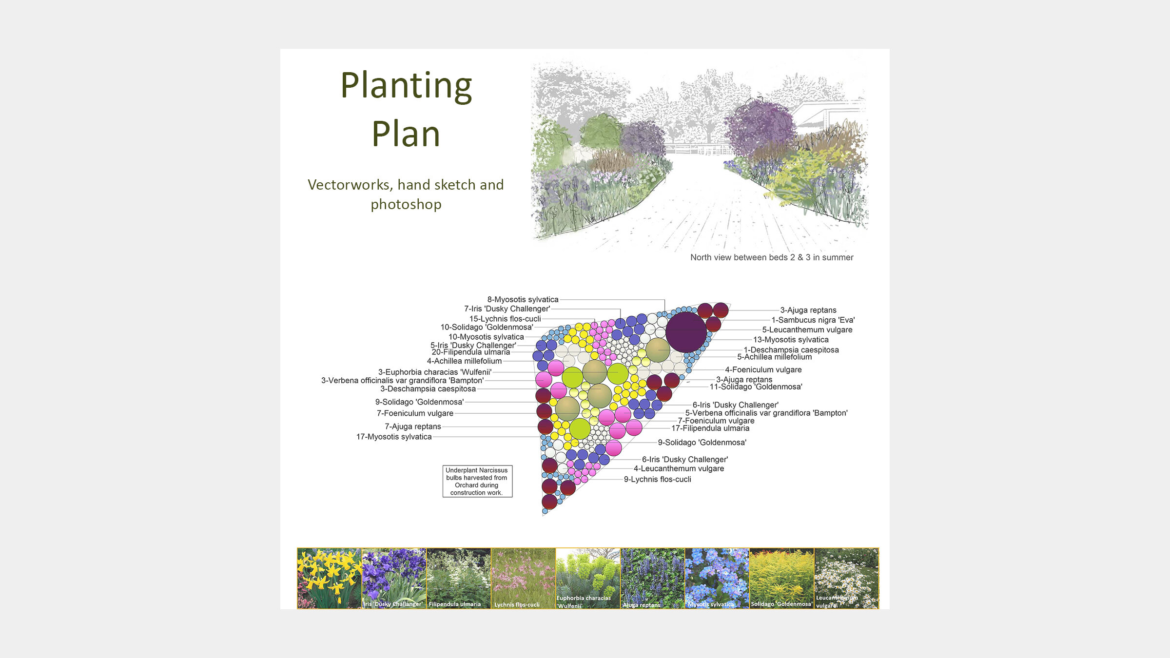 Diploma in Garden Design - Part Time | KLC School of Design