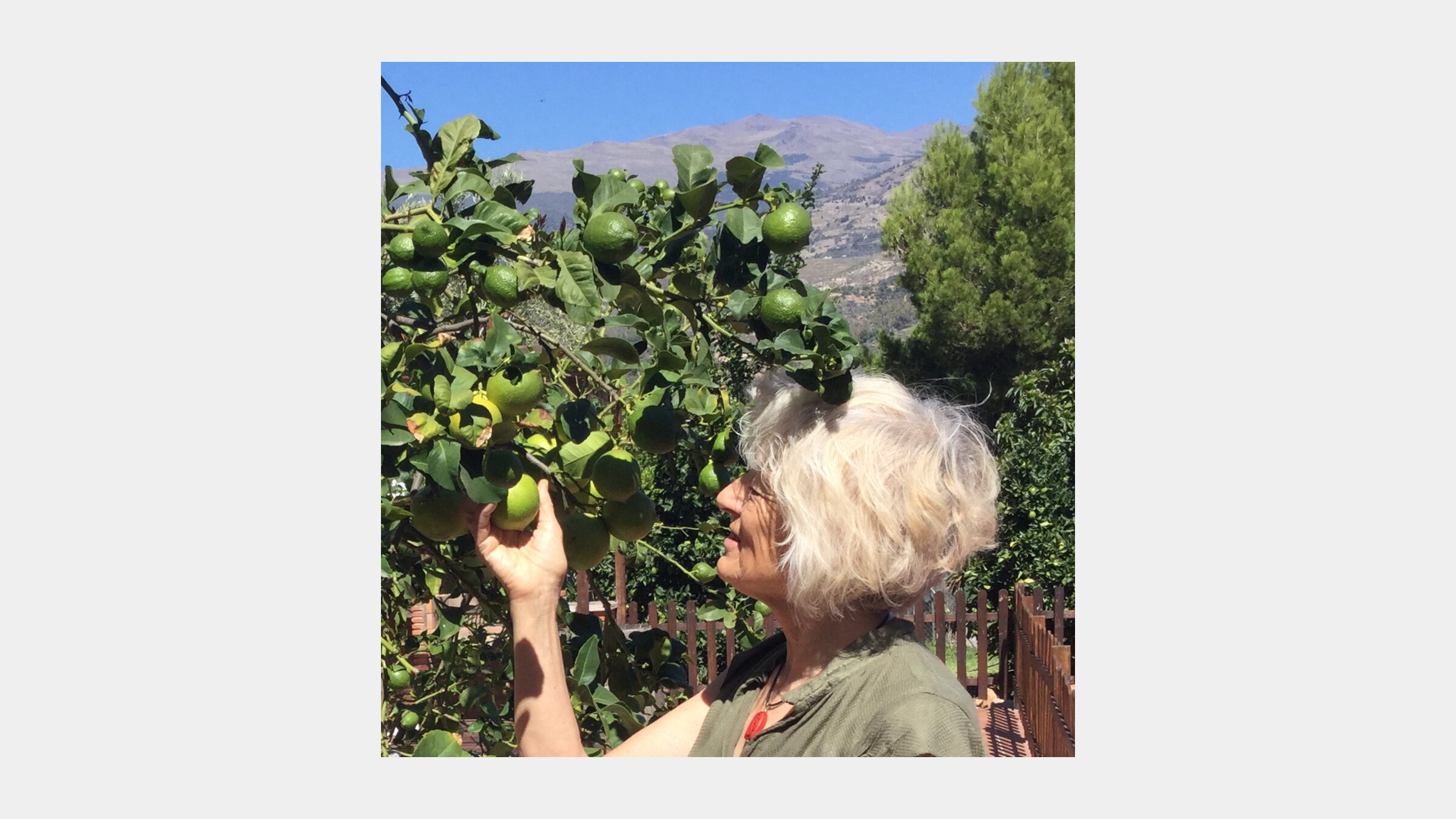 Jeanette Appleton - West Dean College