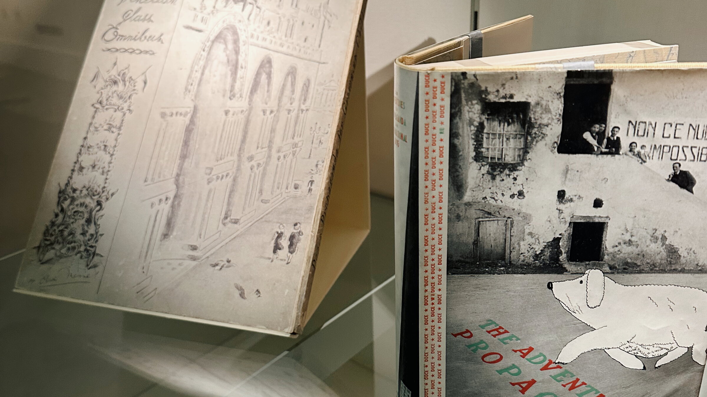 Celebrating Edward James: Poet and writer