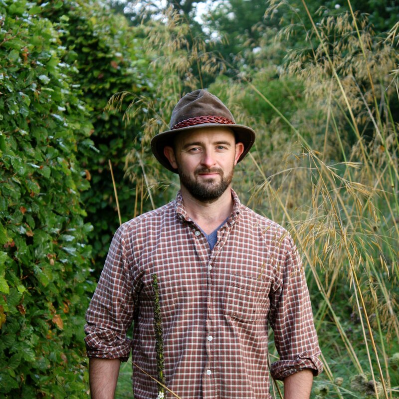 How To Prune With Confidence | West Dean