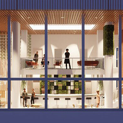 Degrees & Diplomas | College of Arts, Conservation and Design