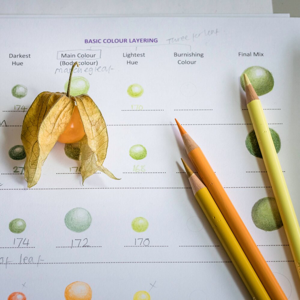 Botanical Art Courses | Drawing & Painting | West Dean | West Dean