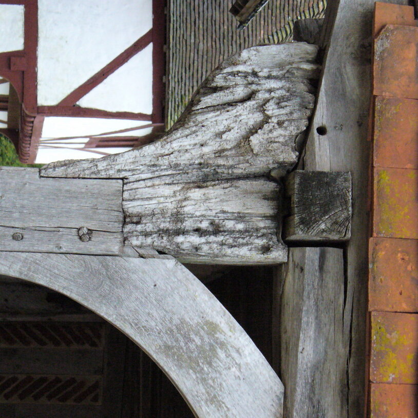 Conservation Short Courses | West Dean | West Dean