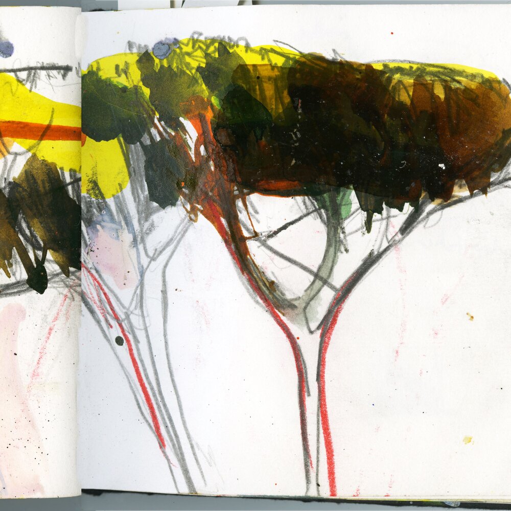 Drawing Courses | Landscape, Life & Technical Drawing | West Dean ...