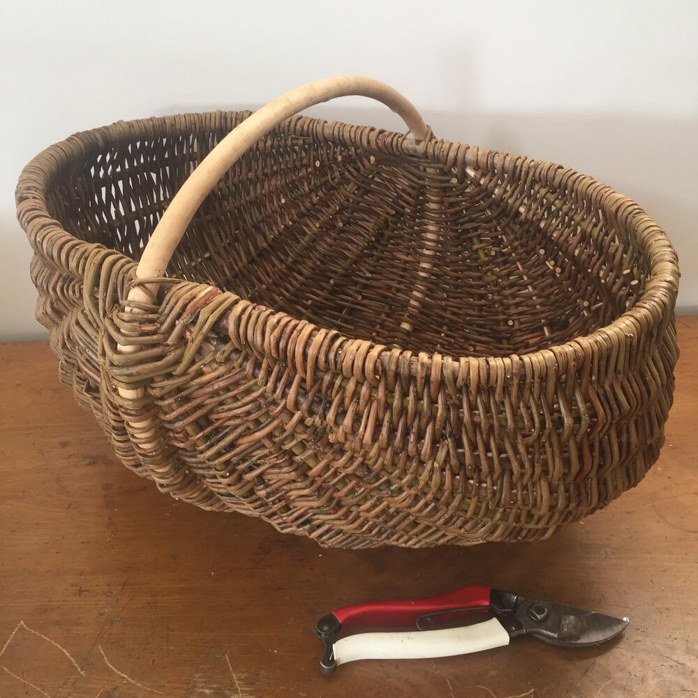 Basket Making & Willow Weaving Courses | West Dean | West Dean