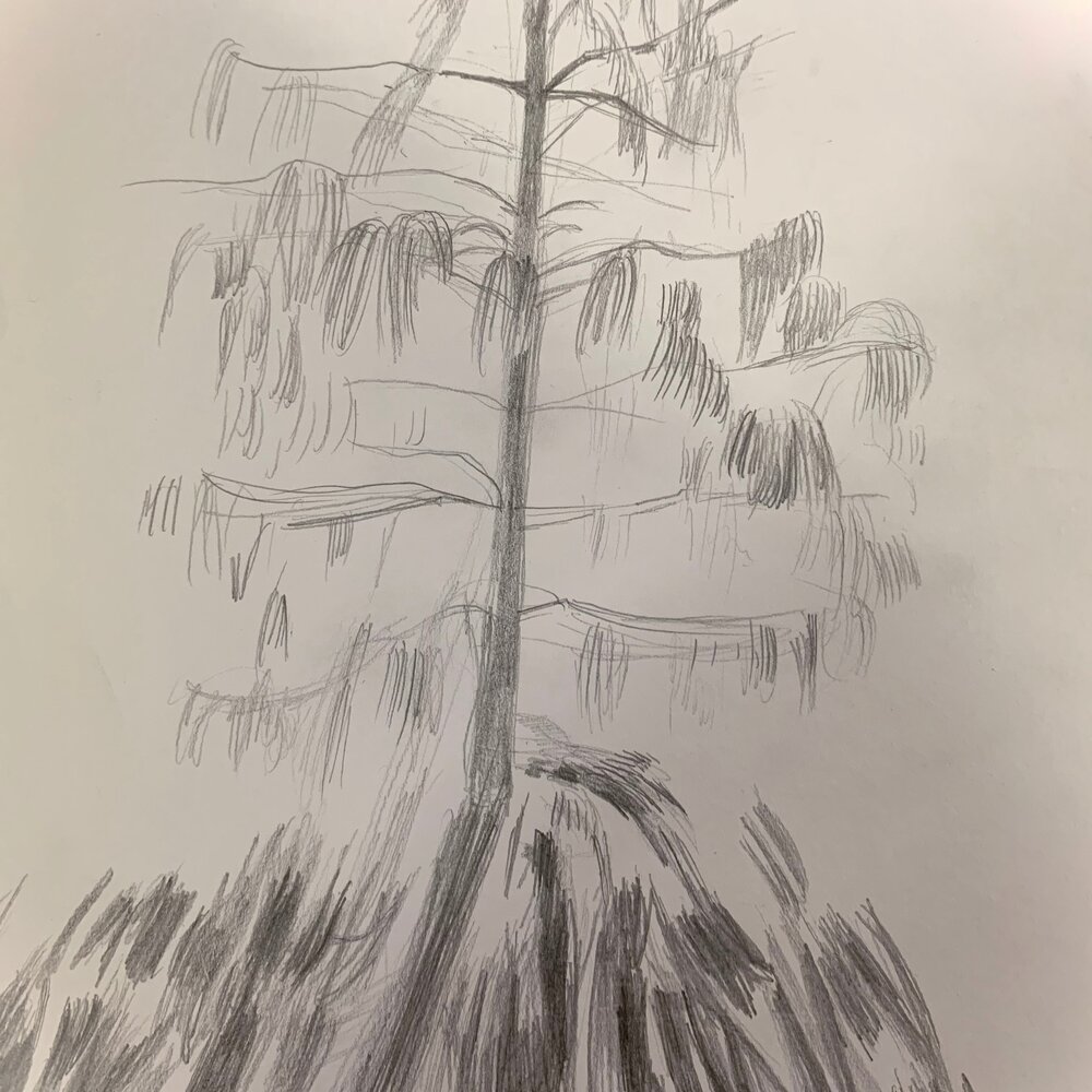Drawing Courses | Landscape, Life & Technical Drawing | West Dean ...
