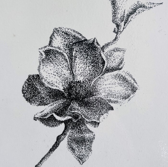 Drawing Courses | Landscape, Life & Technical Drawing | West Dean ...