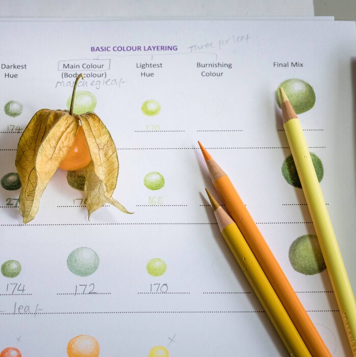 Drawing Courses | Landscape, Life & Technical Drawing | West Dean ...