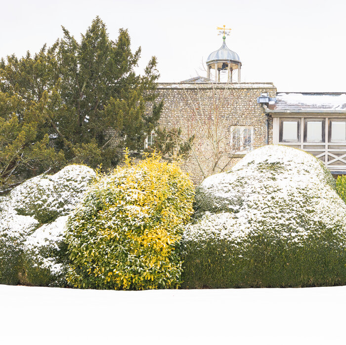 Gardening & Garden Design Courses | West Dean | West Dean